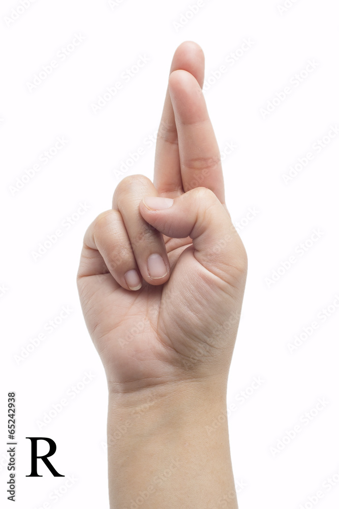 Hand sign language alphabet isolated on white Stock Photo | Adobe Stock