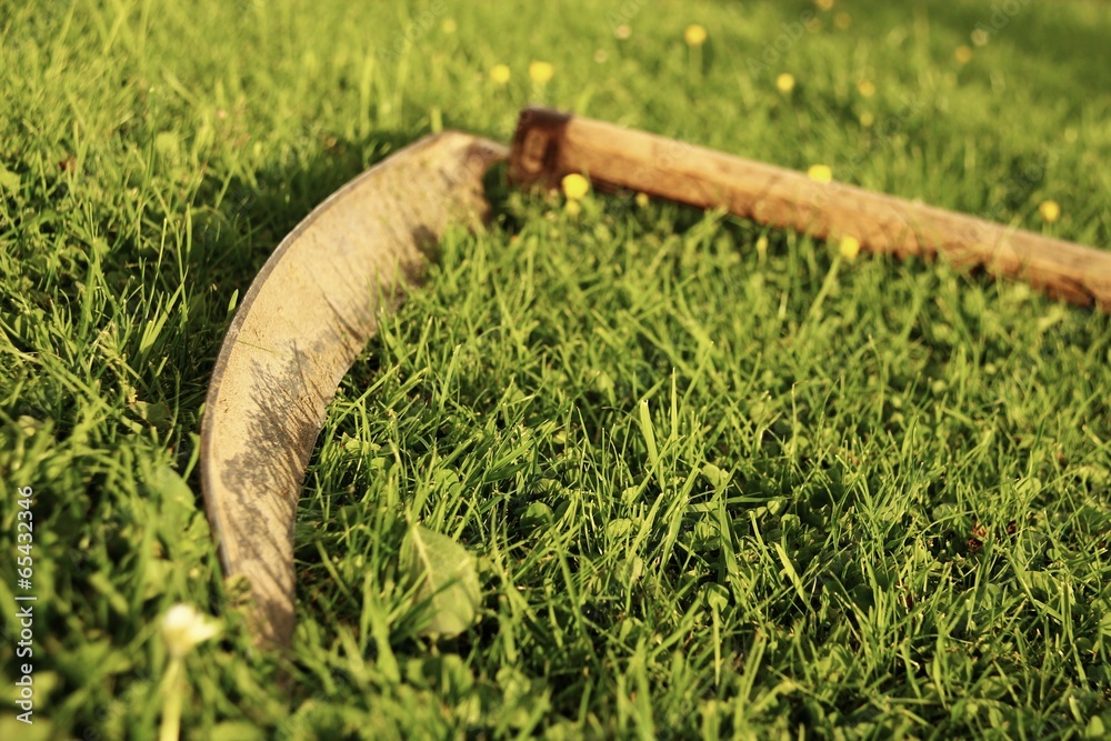 sense II Stock-Foto | Adobe Stock