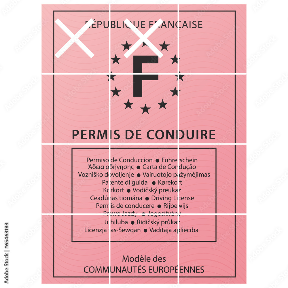 Permis de conduire. Papier rose. 2 points. Illustration Stock | Adobe Stock