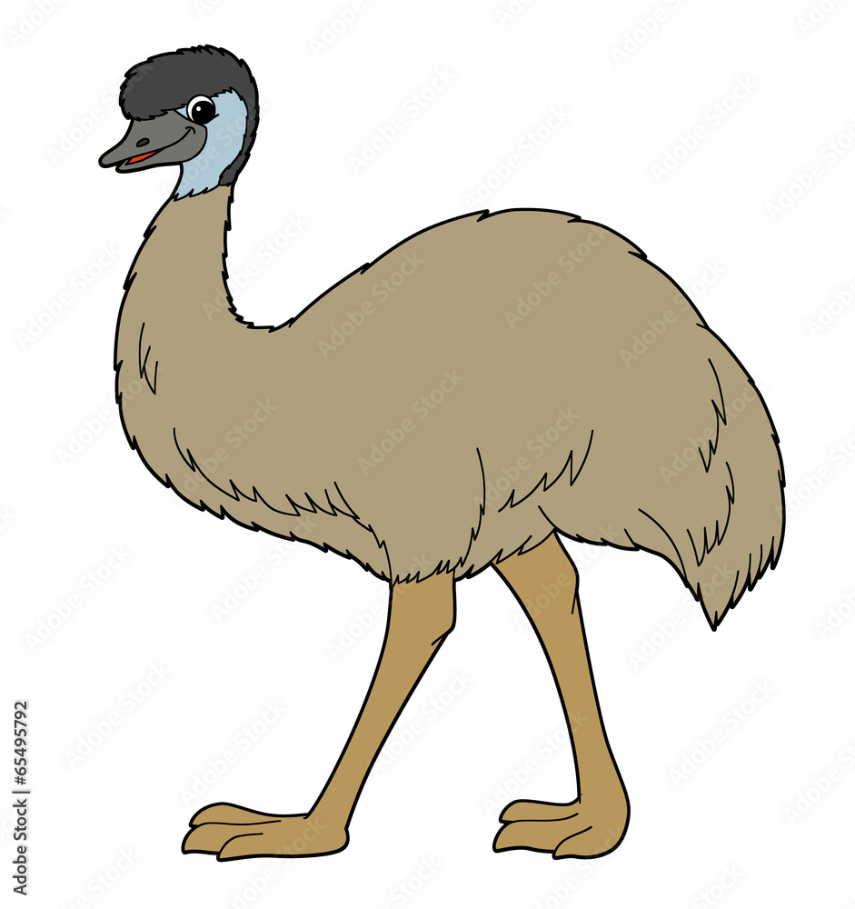 Cartoon animal - emu - illustration for the children Stock Illustration ...
