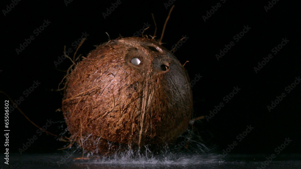 Coconut falling and splitting on black background Stock Video | Adobe Stock