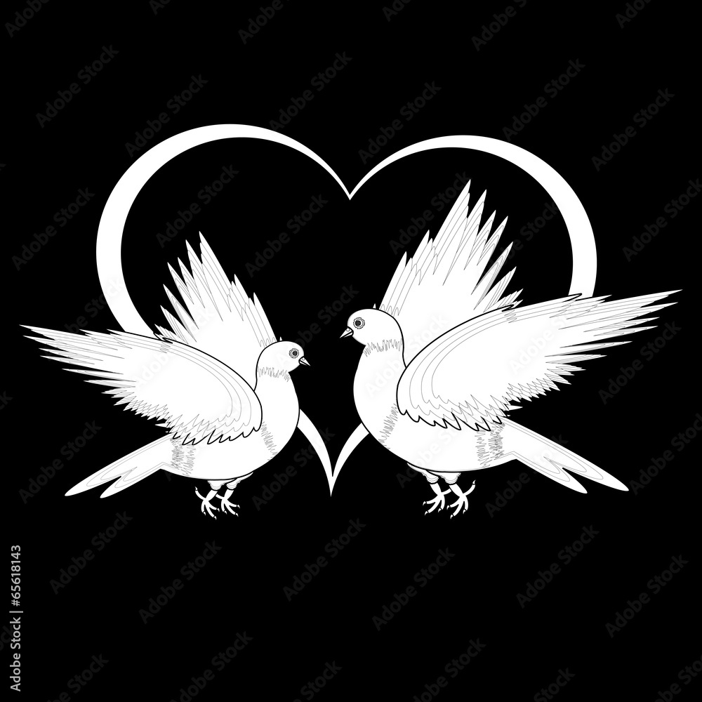 Two Flying Doves