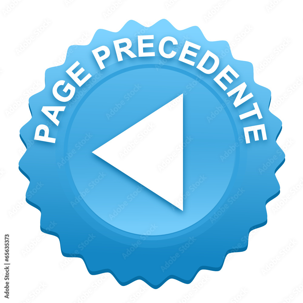 Bouton Bleu Précédent