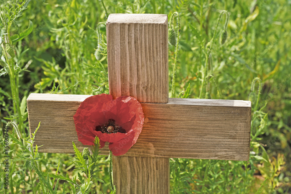 poppy cross Stock Photo | Adobe Stock
