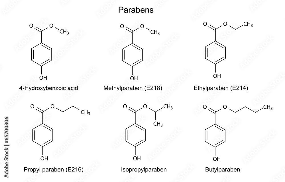 Structural chemical formulas of parabens Stock Vector | Adobe Stock