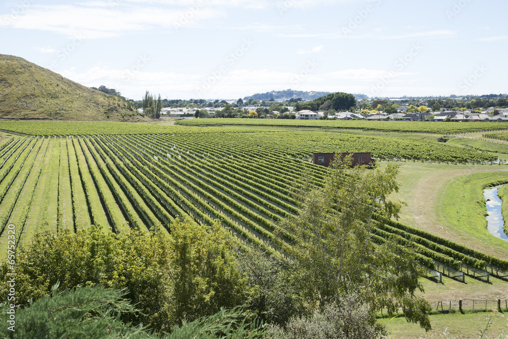 Mission Estate Winery at Taradale Hawkes Bay New Zealand Stock Photo ...