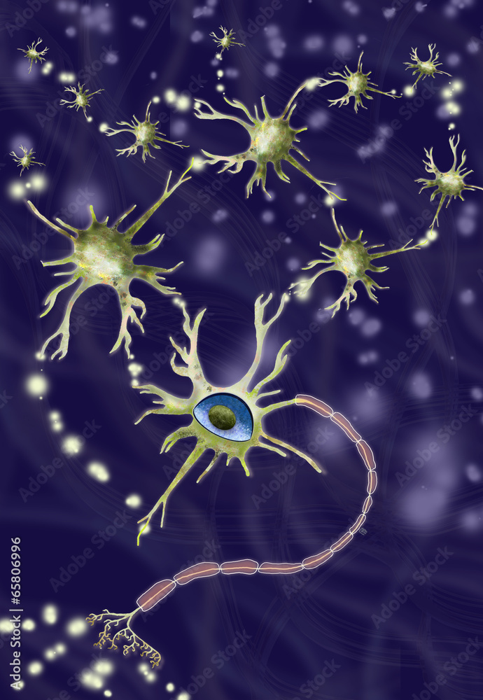 system of nerve cells Stock Photo | Adobe Stock