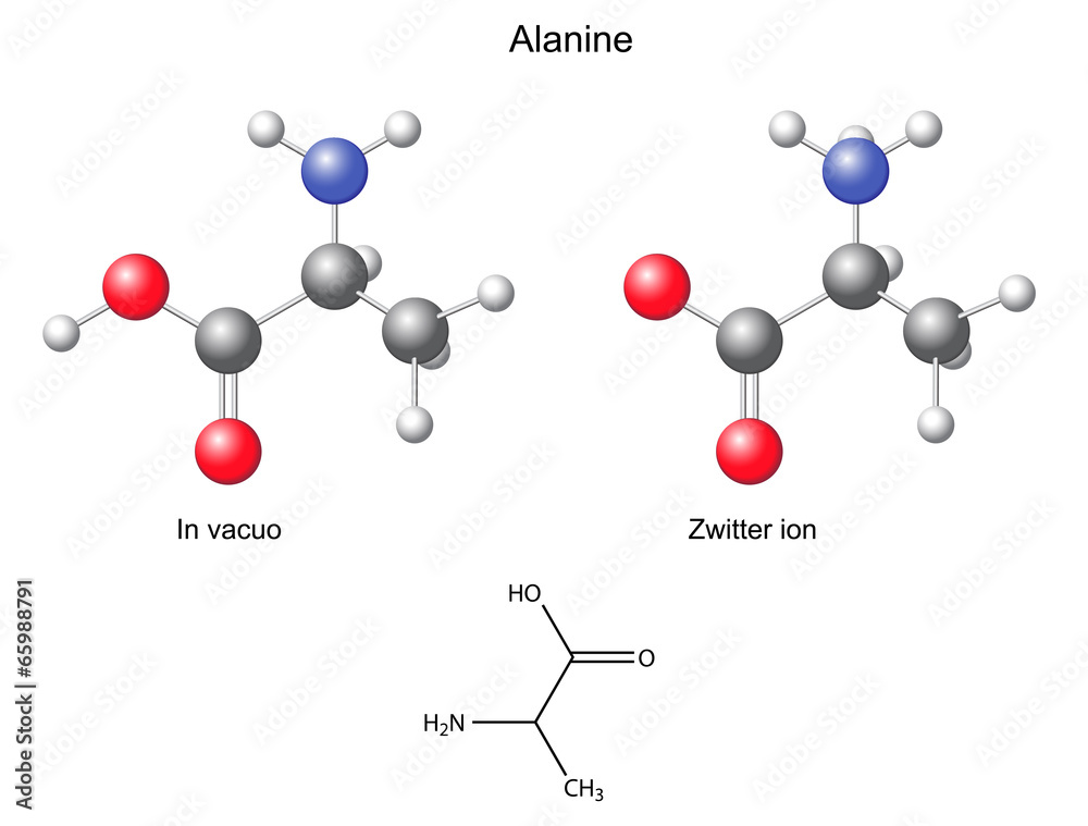 Alanine (Ala) - chemical structural formula and models Stock Vector ...