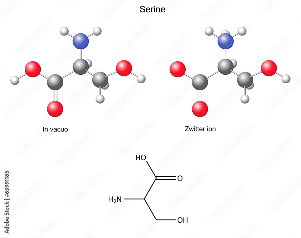 Serine (Ser) - chemical structural formula and models Stock Vector ...