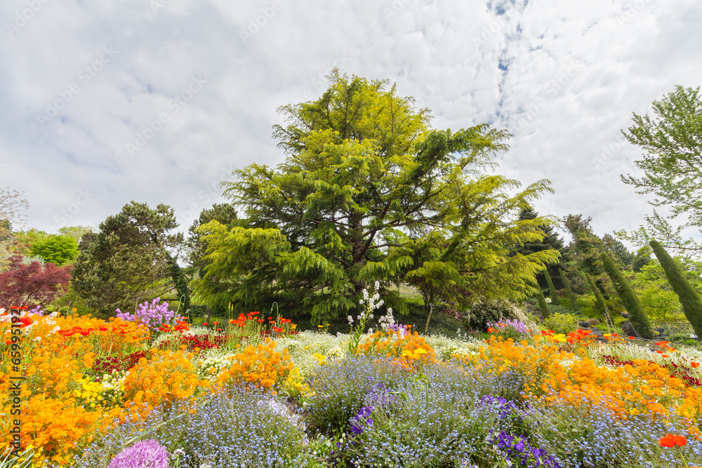 Flowers and trees on flower island Mainau, Lake Constance Stock Photo ...