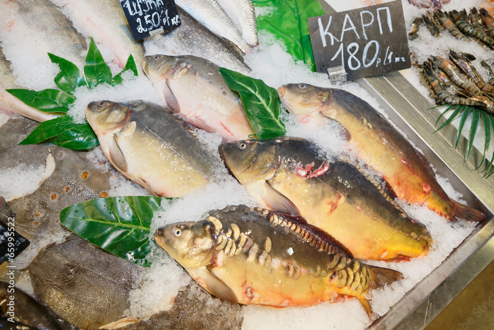 Pile of scaleless carps on market display Stock Photo | Adobe Stock