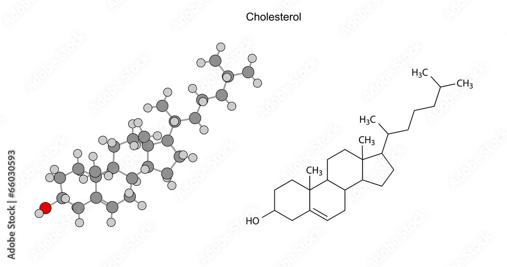 Structural chemical formulas of cholesterol molecule Stock Vector ...