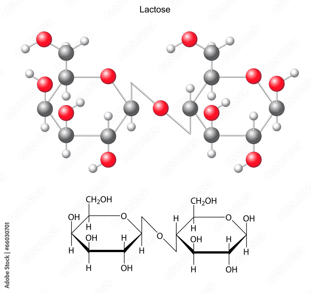 Lactose Structural Formula