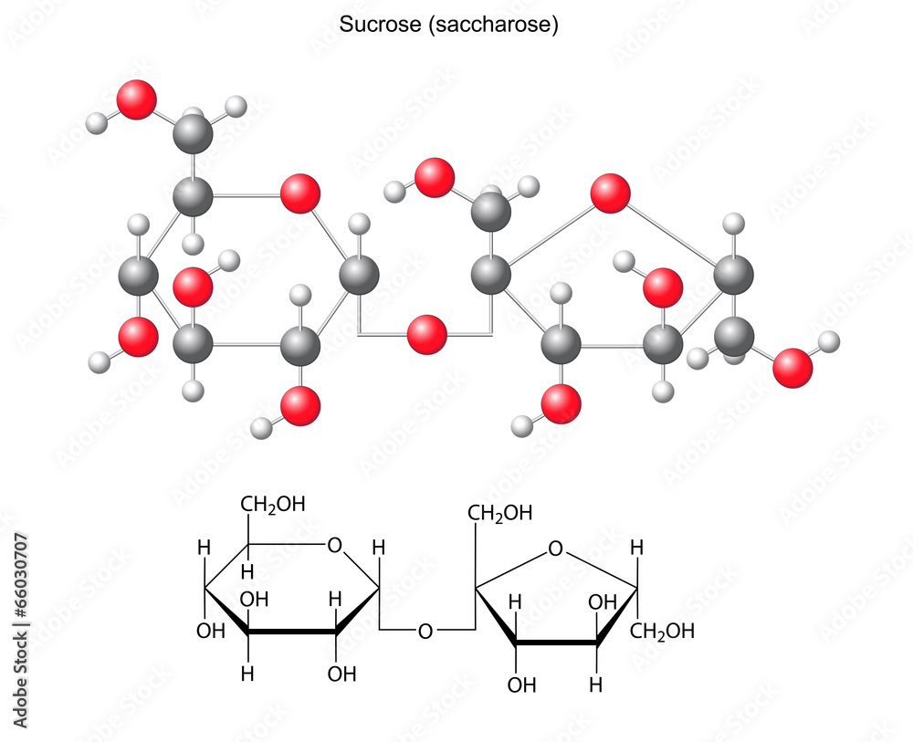 Structural chemical formula and model of sucrose (saccharose) Stock ...