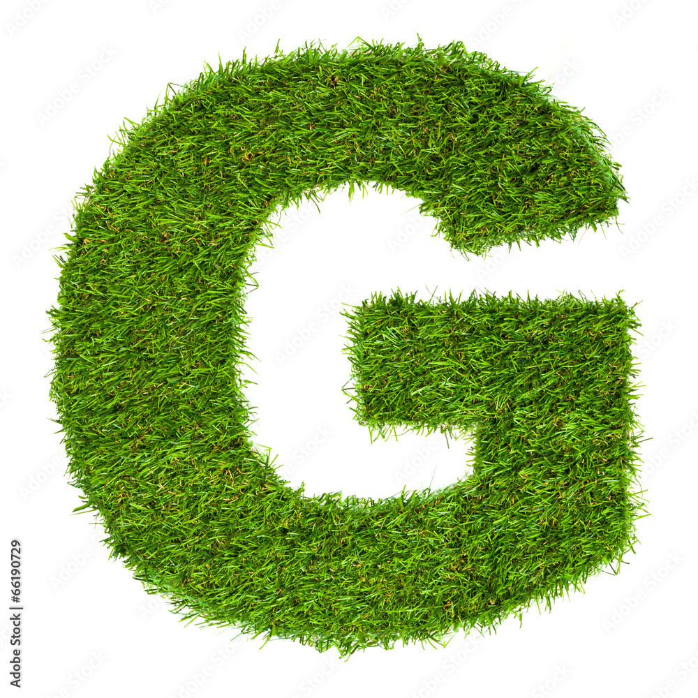 Letter G made of green grass isolated on white Stock Photo | Adobe Stock
