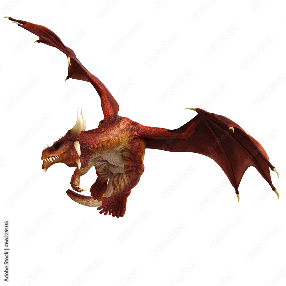 Dragons Flying Side View