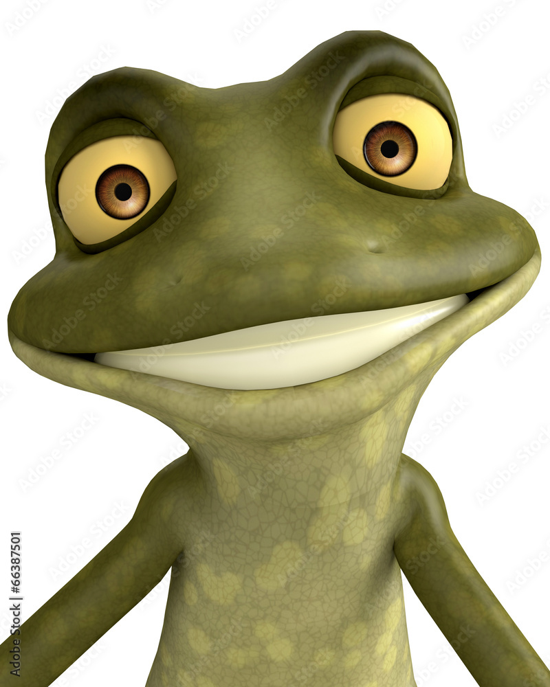 Cartoon Frog Face