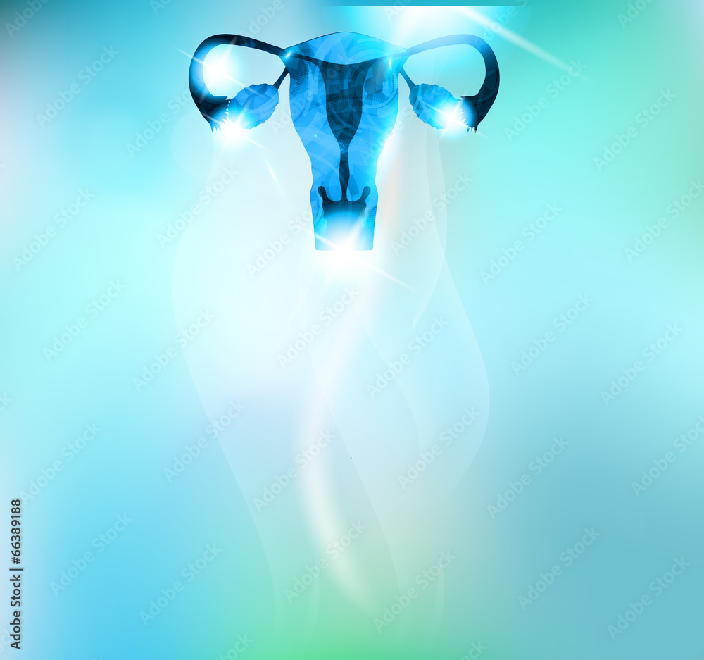 Gynecology background. Female reproductive organs uterus and ov Stock ...