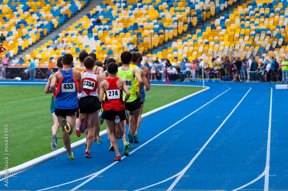 competition athletes, running, steeplechase Stock Photo | Adobe Stock