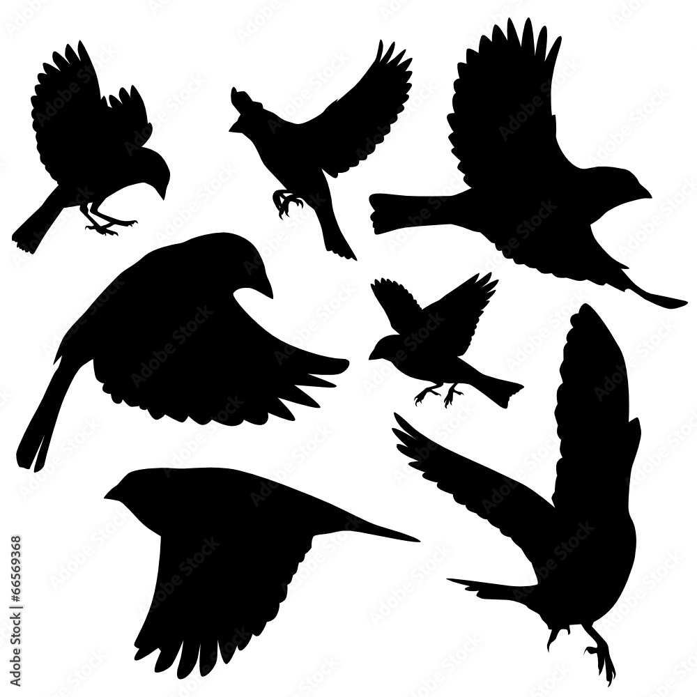 Spatzen Stock Vector | Adobe Stock