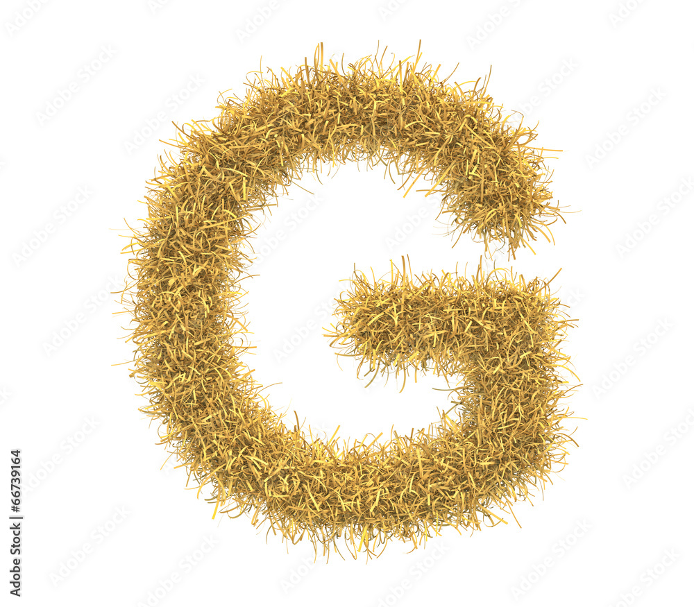 Letter of hay isolated on white background Stock Illustration | Adobe Stock