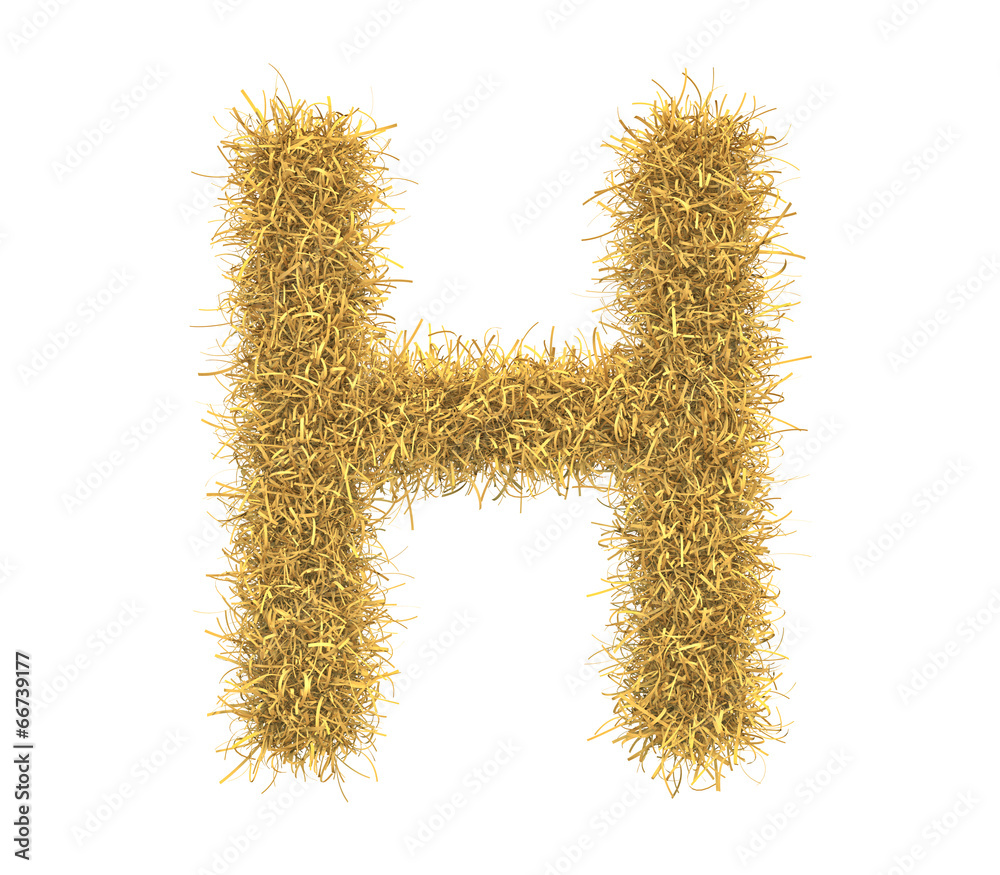 Letter of hay isolated on white background Stock Illustration | Adobe Stock