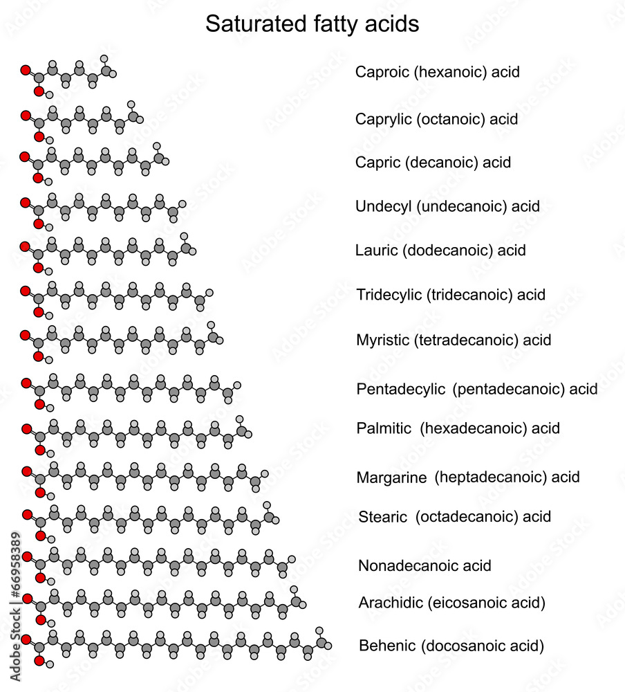 The chemical structural formulas of main saturated fatty acids Stock ...