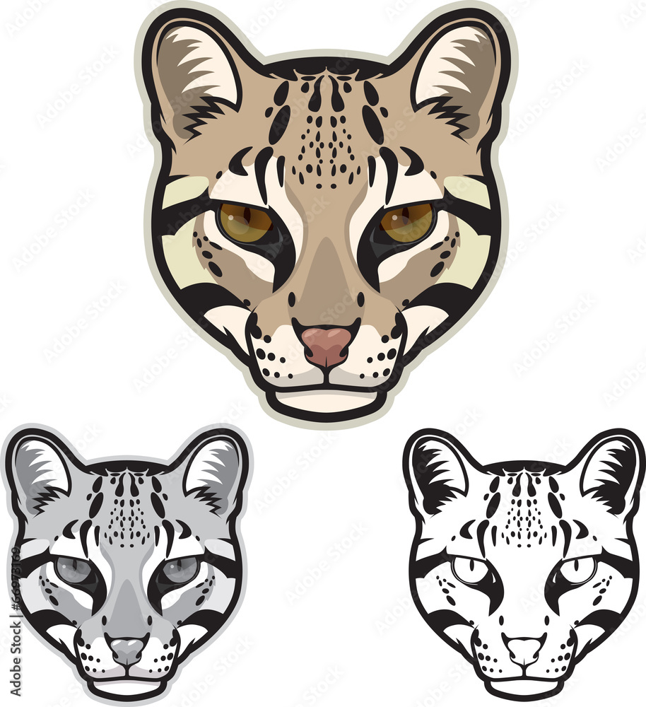Ocelot Face Stock Vector | Adobe Stock