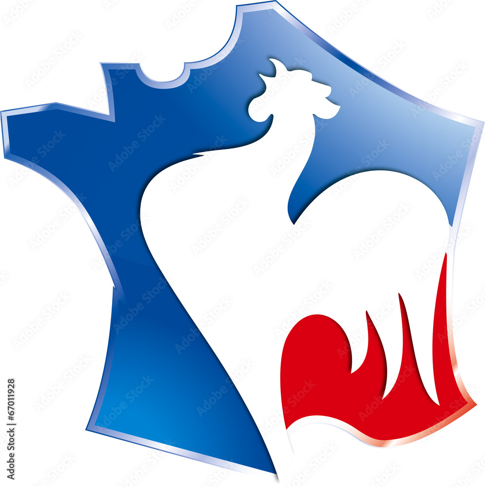 CARTE DE FRANCE tricolore coq Stock Vector | Adobe Stock