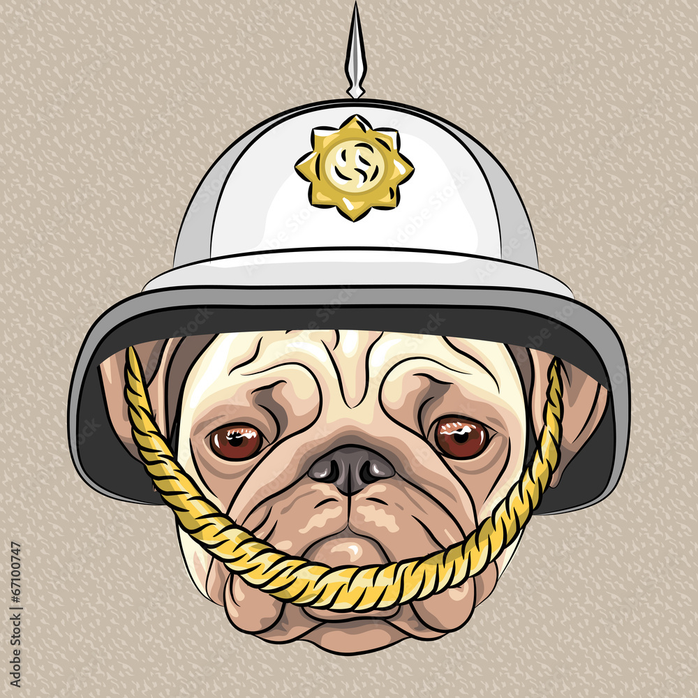 vector funny cartoon dog pug in the British helmet Stock Vector | Adobe ...