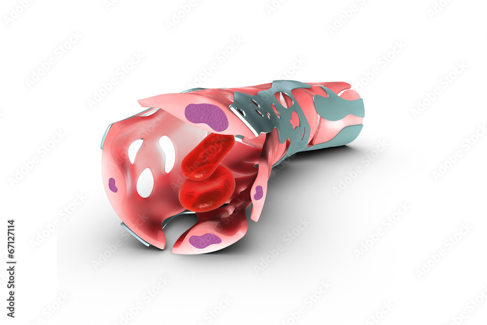 Capillaries Stock Photo | Adobe Stock