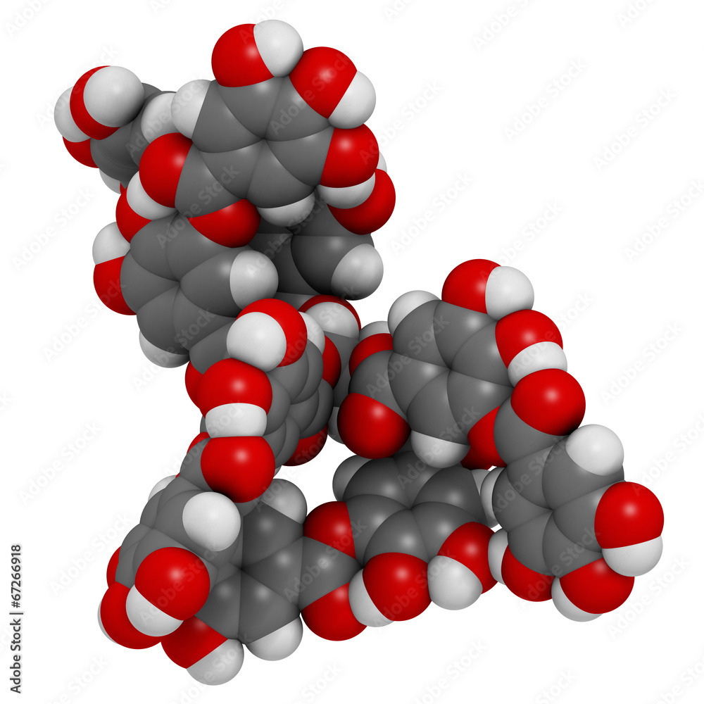 Tannic acid molecule (one isomer shown). Type of tannin. Stock ...