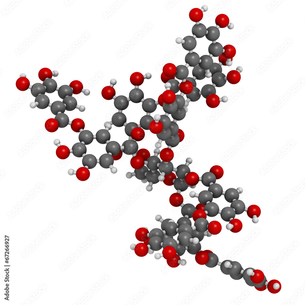 Tannic acid molecule (one isomer shown). Type of tannin. Stock ...