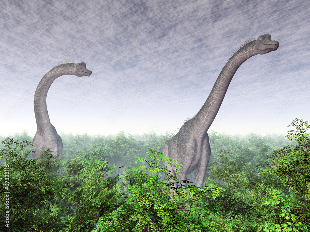 Dinosaur Brachiosaurus Stock Illustration | Adobe Stock