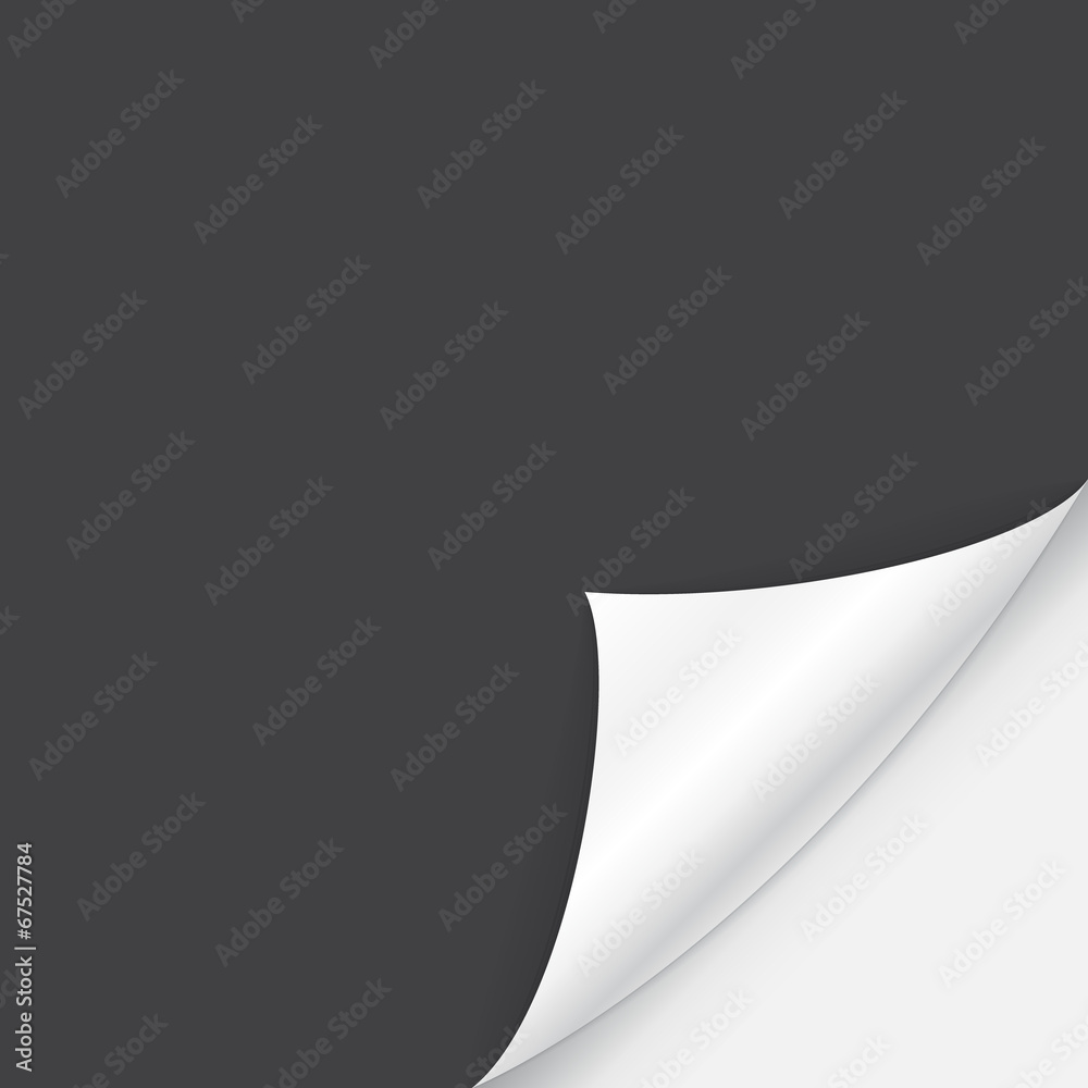curved sheet of paper Stock Vector | Adobe Stock