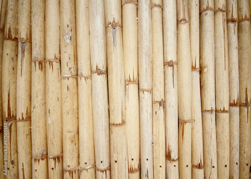 Bamboo texture Stock Photo | Adobe Stock
