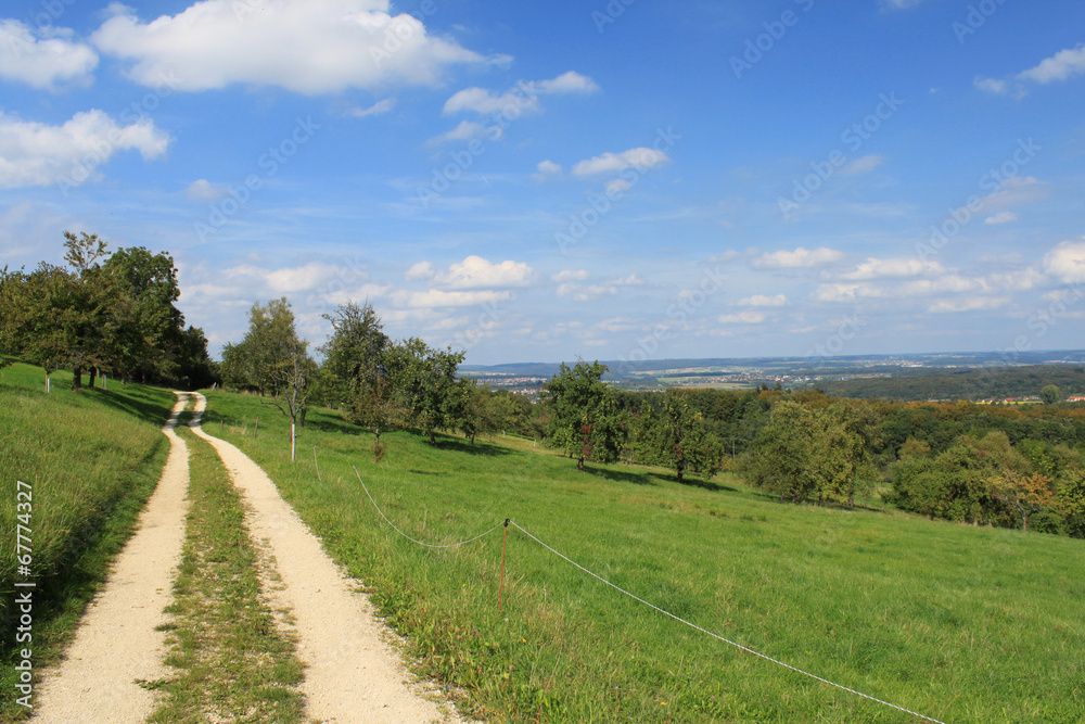 wiesen Stock Photo | Adobe Stock