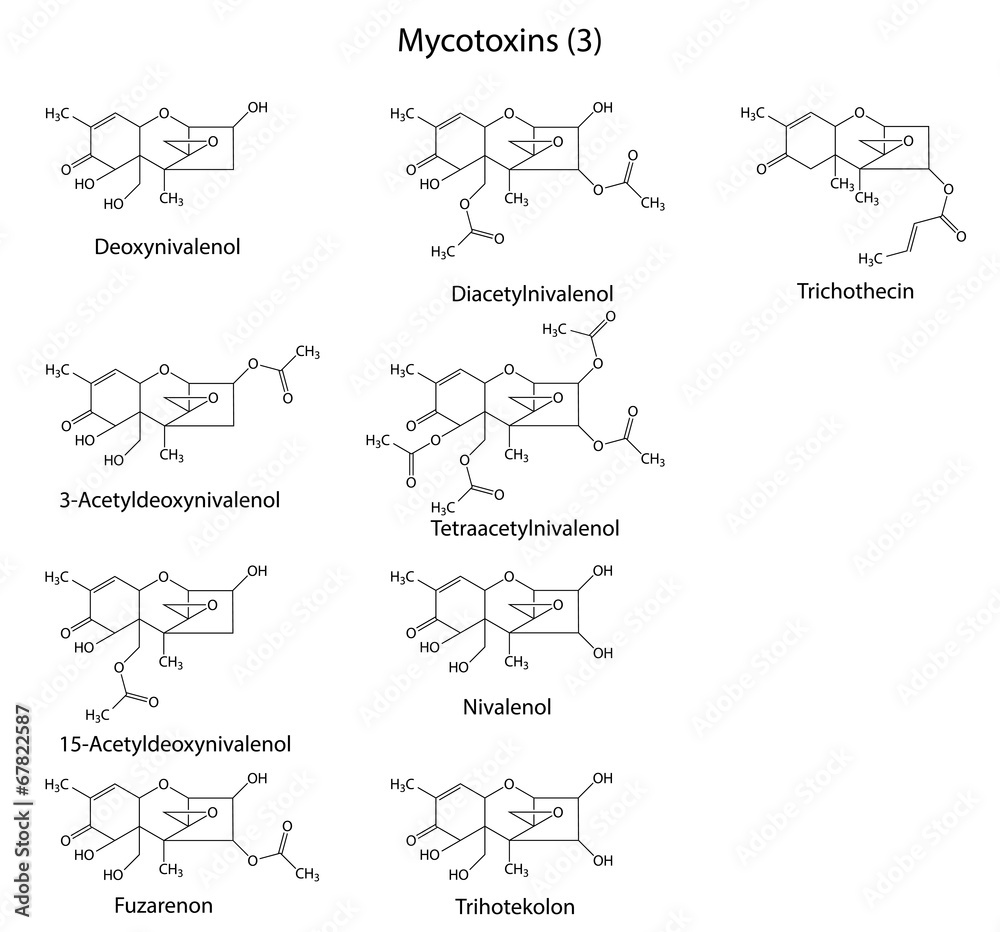 Structural chemical formulas of B-type mycotoxins Stock Vector | Adobe ...