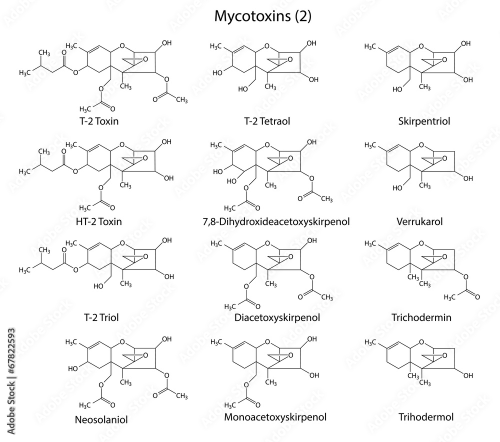 Structural chemical formulas of A-type mycotoxins Stock Vector | Adobe ...