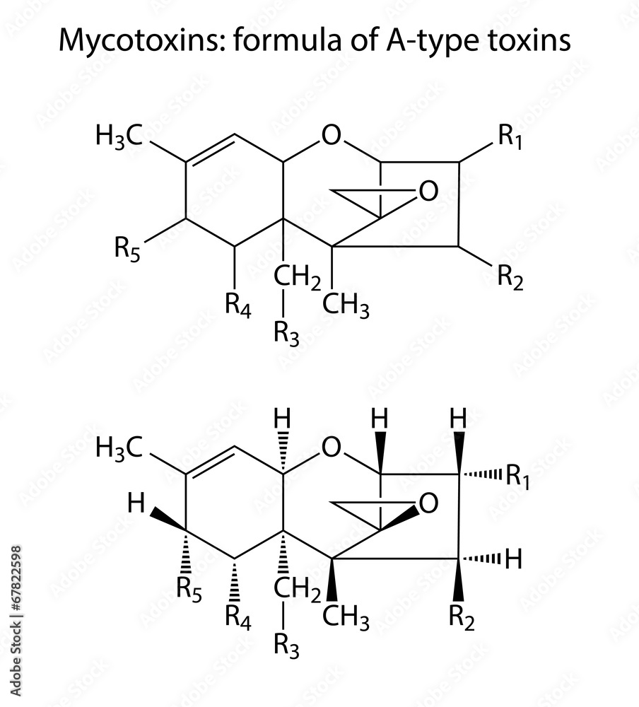 General structural chemical formulas of mycotoxins of A-type Stock ...