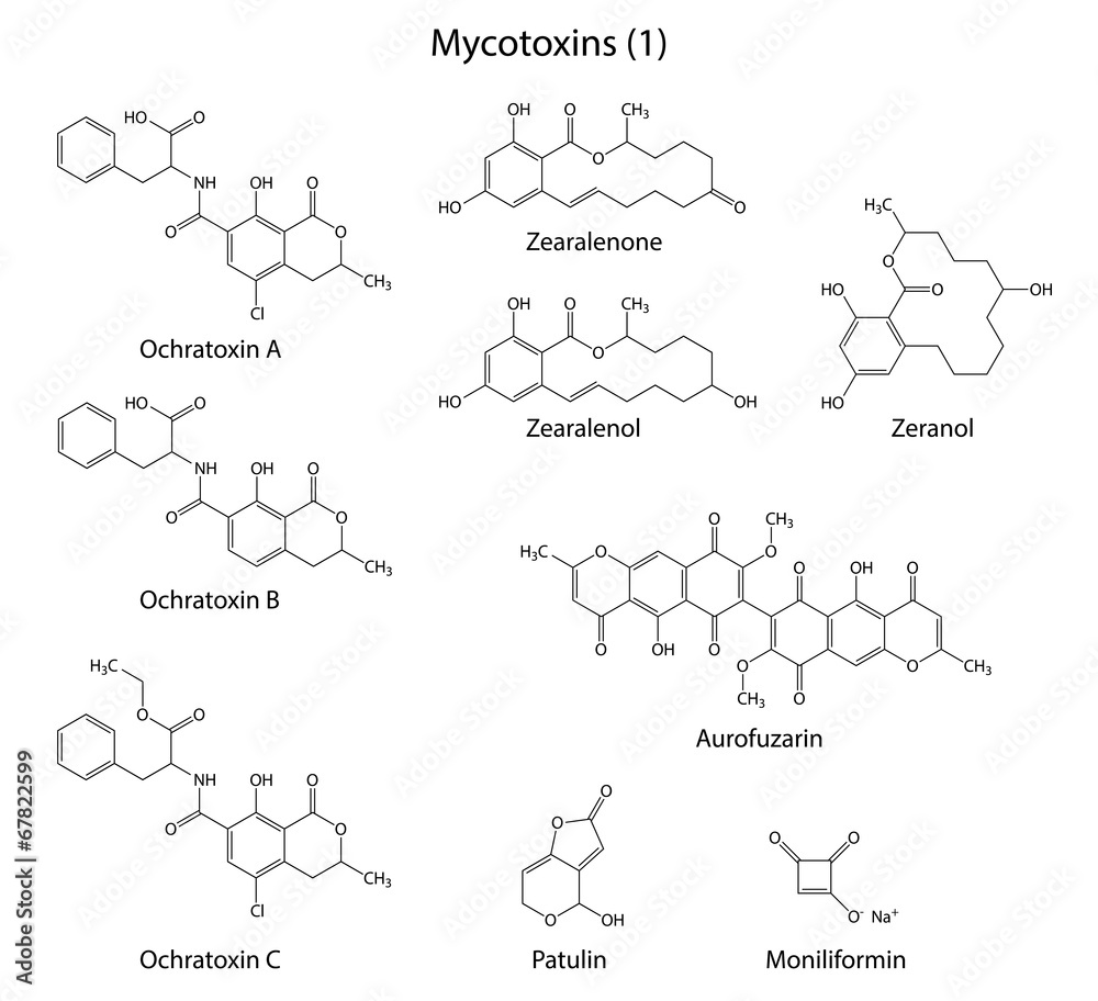 Structural chemical formulas of some mycotoxins Stock Vector | Adobe Stock