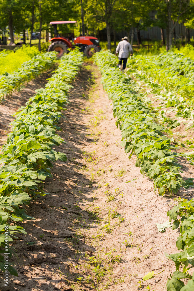 Farming Stock Photo | Adobe Stock