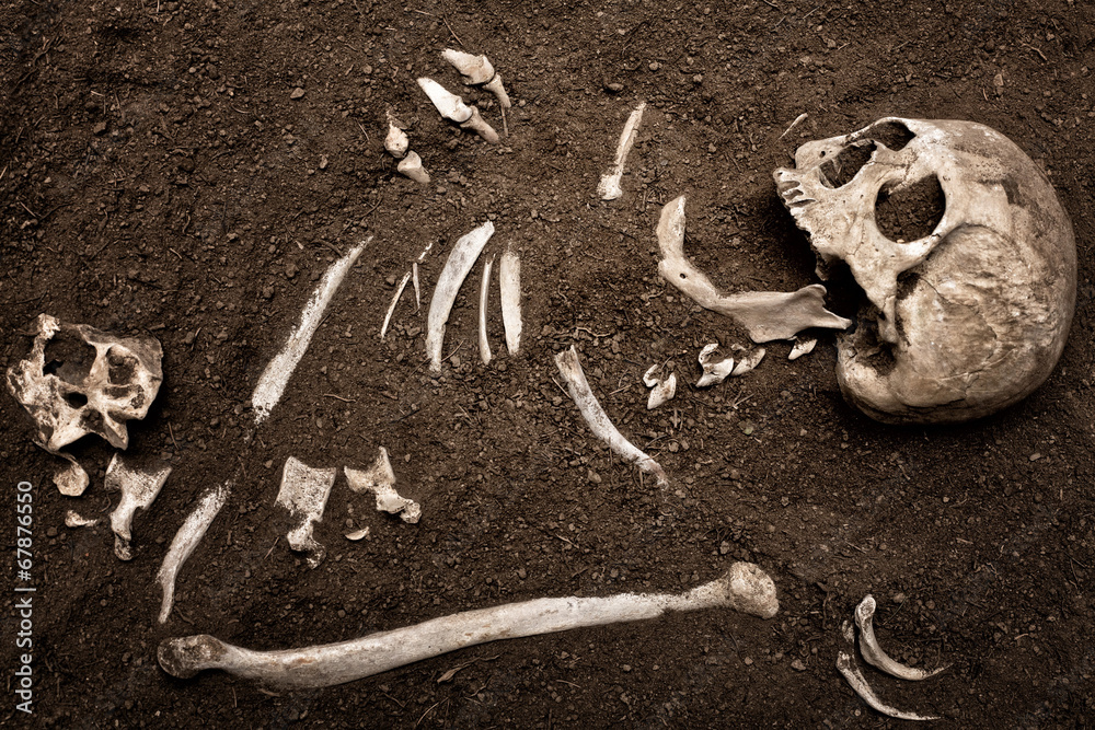 human remains buried in the ground, skull and other bones of the body ...