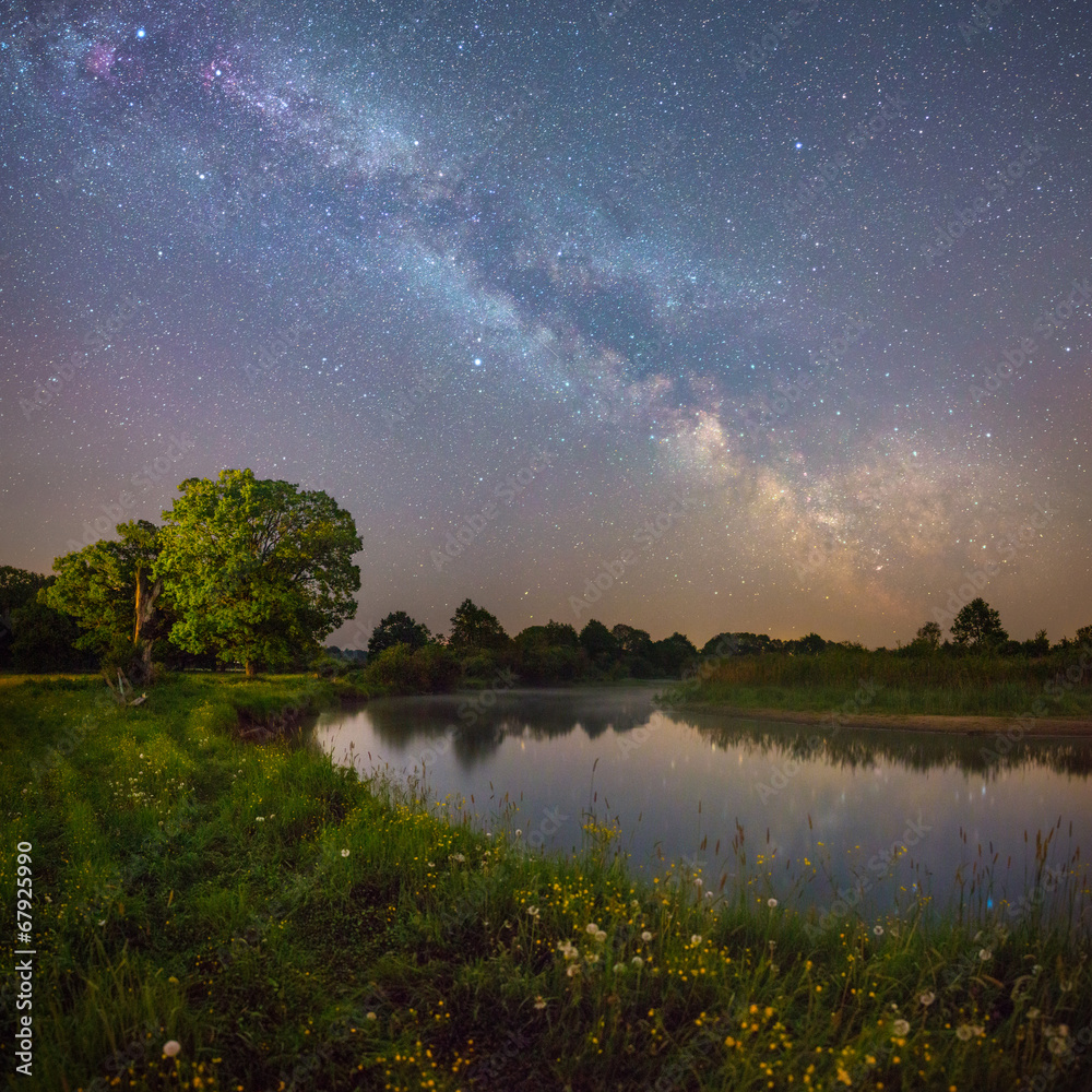Starry night landscape Stock Photo | Adobe Stock