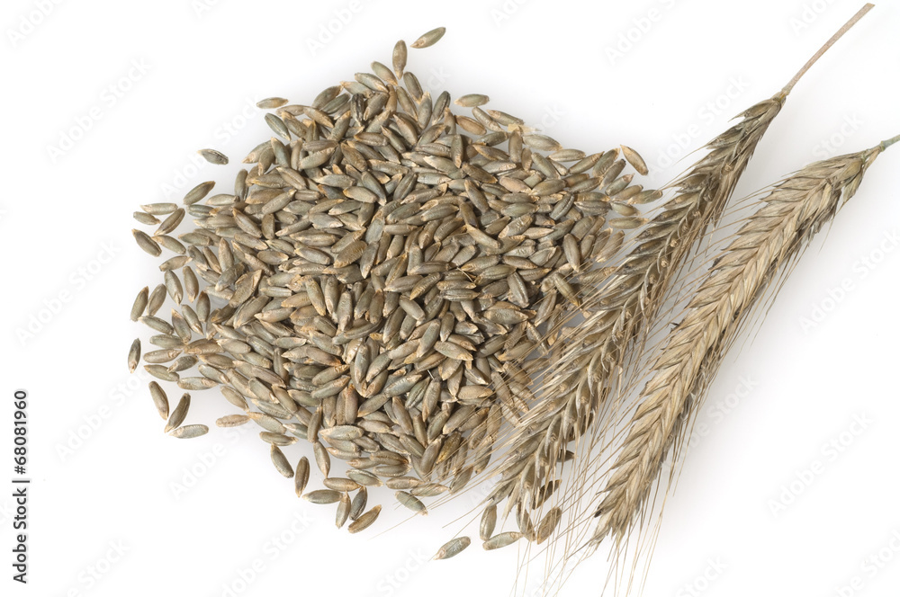 Roggenkoerner, Roggenkorn, Roggenaehre; Roggen; Roggenaehren; Se foto ...