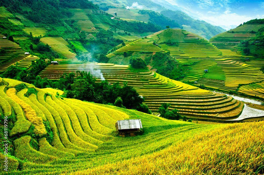 Rice fields on terraces in vietnam Stock Photo | Adobe Stock