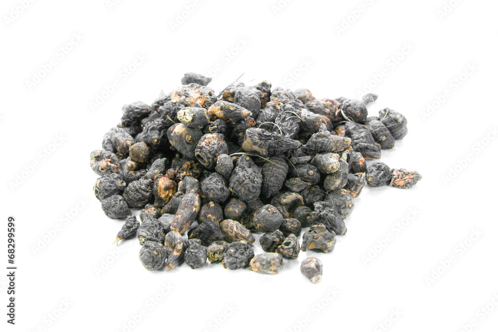 Cyperus rotundus on white background Stock Photo | Adobe Stock