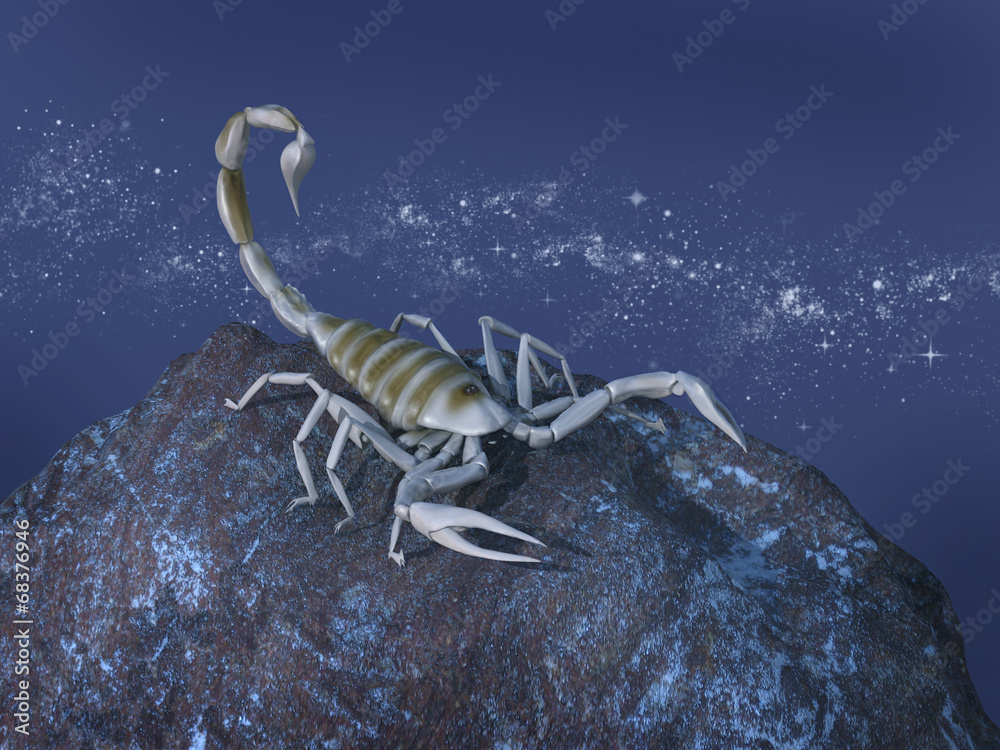 Representación simbólica del signo zodiacal de Escorpio 素材庫插圖 | Adobe Stock