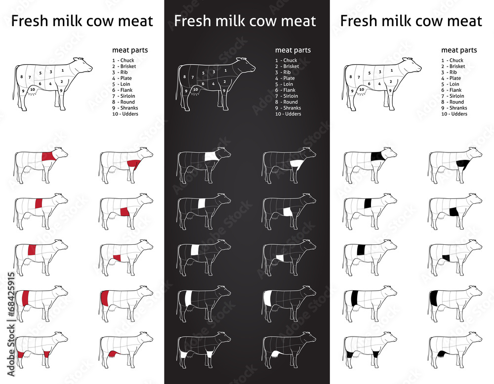 Fresh milk cow meat parts Icons for packaging and info-graphic 1 Stock ...