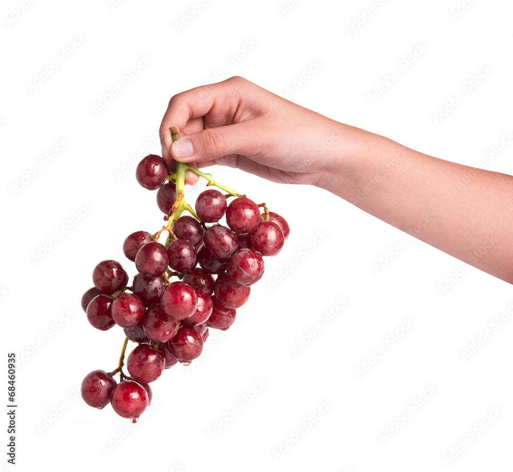 Hand Holding Grapes at Jonathan Weyer blog